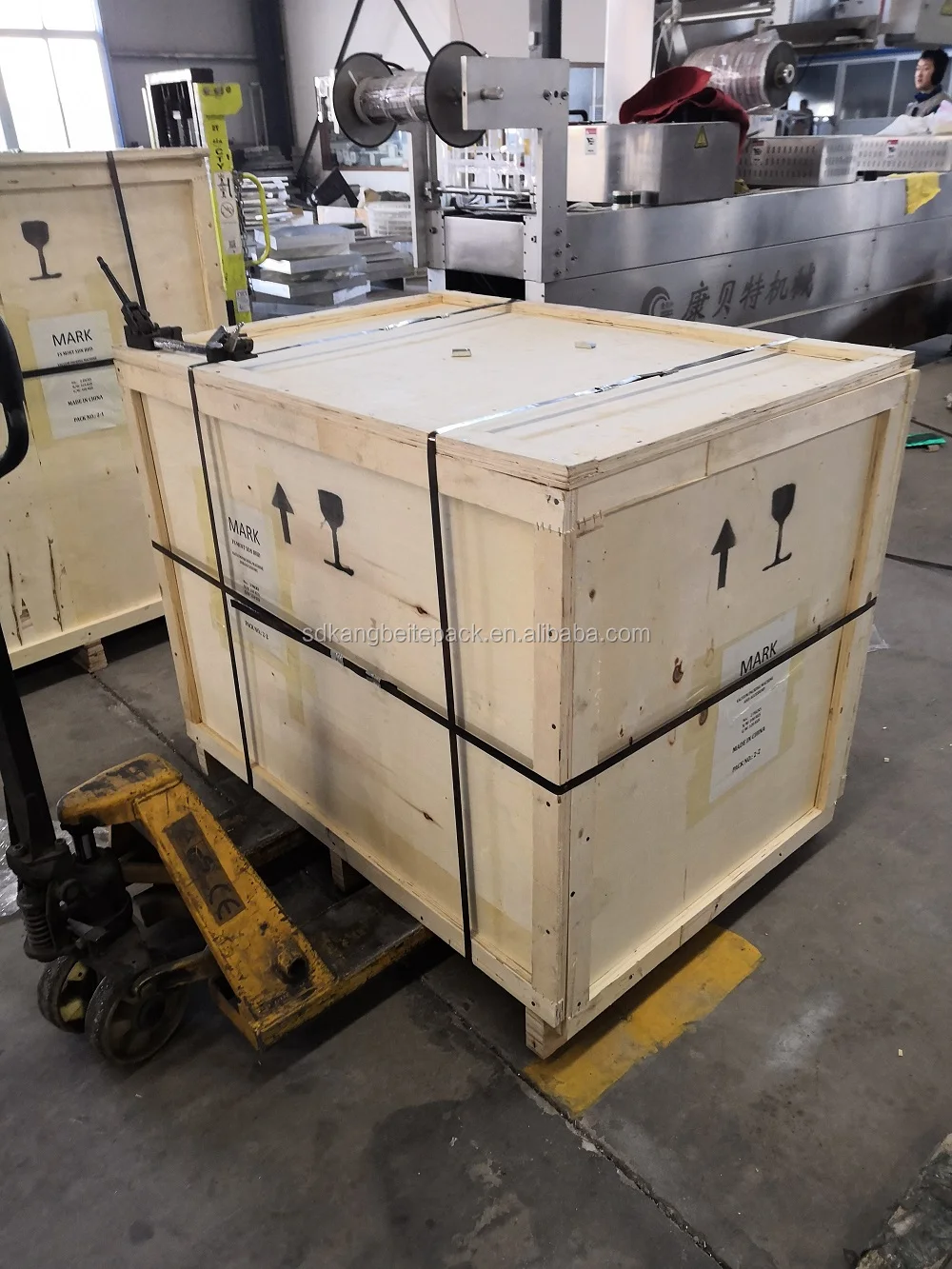 Continuous MAP Steak Modified Atmosphere Packaging Machine Meat Sausage ...