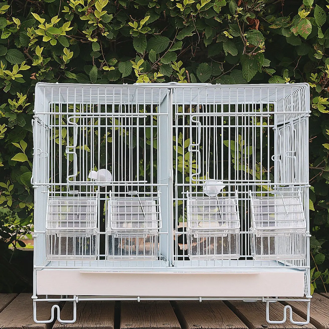 Wholesale Canary Breeding Cages - Stackable & Partitioned