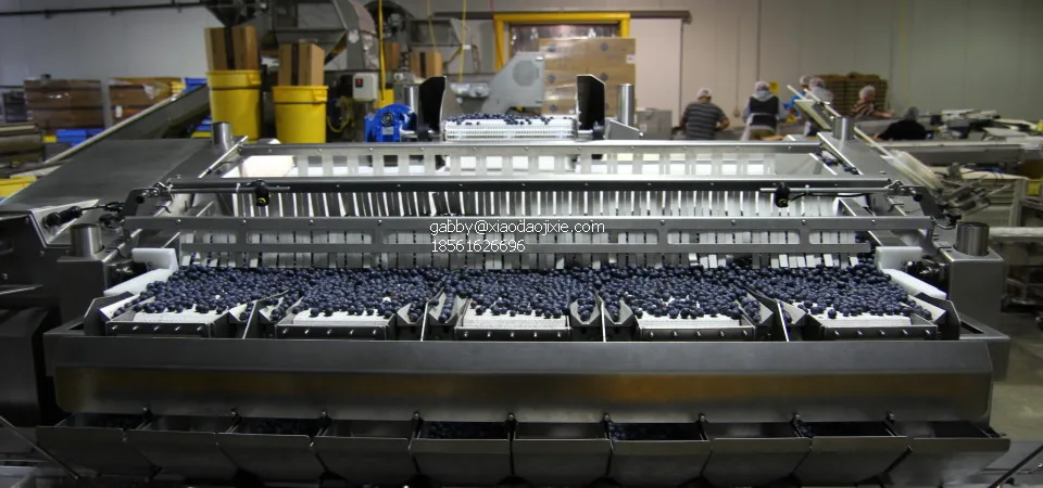 Automatic blueberry sorting machine, blueberry sorter machine,blueberry harvester processing ...