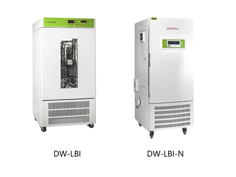 Thermostatic Lab Cooling Incubator - Precision & Reliability