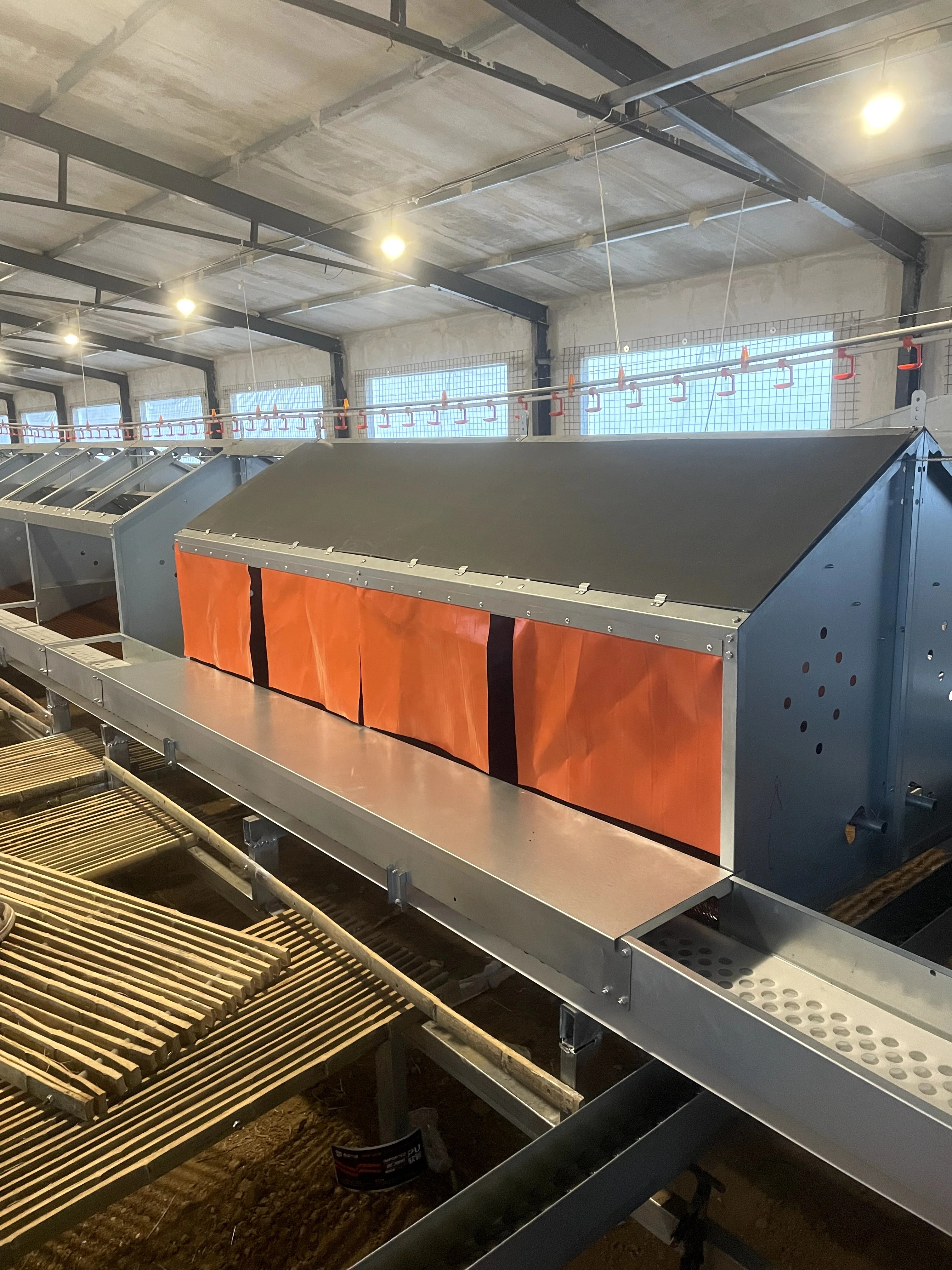 Automatic Egg Laying Nest Box for Layer Chicken House