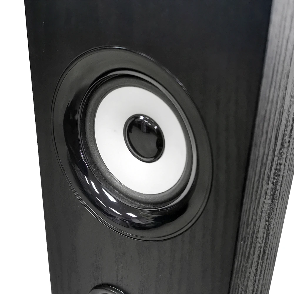 Audmic Home Audio Theatre - Wireless Floor Standing Speakers