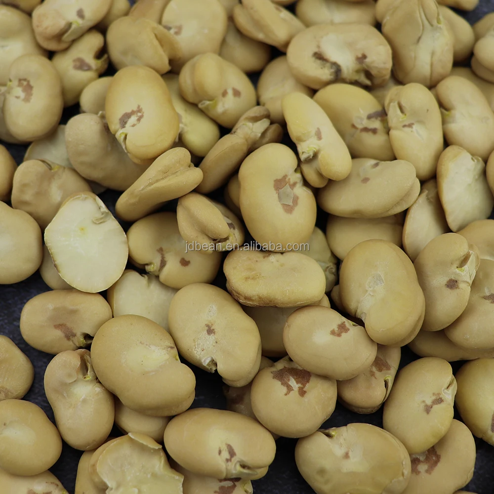 Organic Faba Fava Dried Broad Beans - Bulk & Vacuum Pack