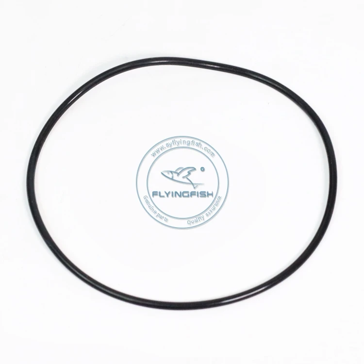 6ct8.3 High-pressure Fuel Pump Seal O Ring 3969698 3924605 3940386 ...