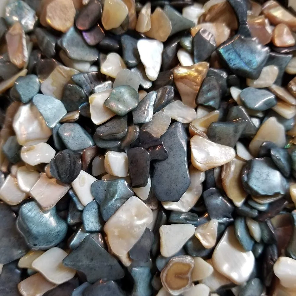 Colorful Shell Chips Diy For Natural Shell Crafts - Buy Colorful Shell ...