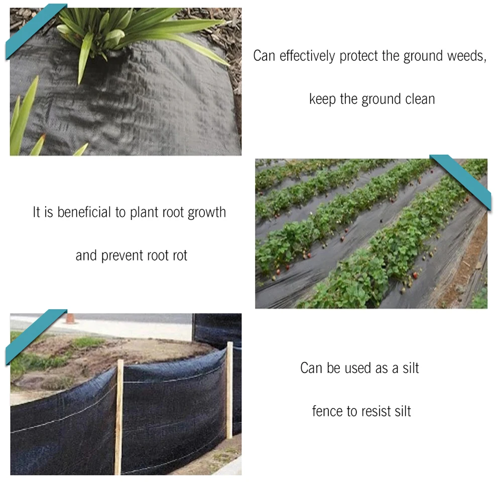 Black Agricultural 80gsm/90gsm/100gsm Pp Pe Weed Mat Ground Cover For ...
