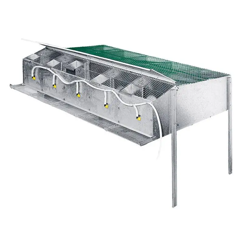 Cage for Partridge Breeding 5 Dept. Extension| Alibaba.com