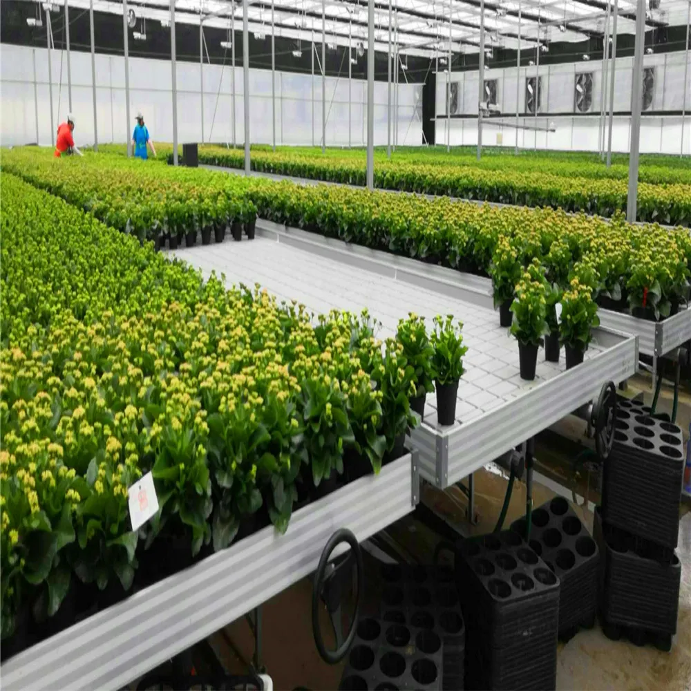 Rdwc Hydroponic System Used Hydroponics Grow Table With Flood Grow ...