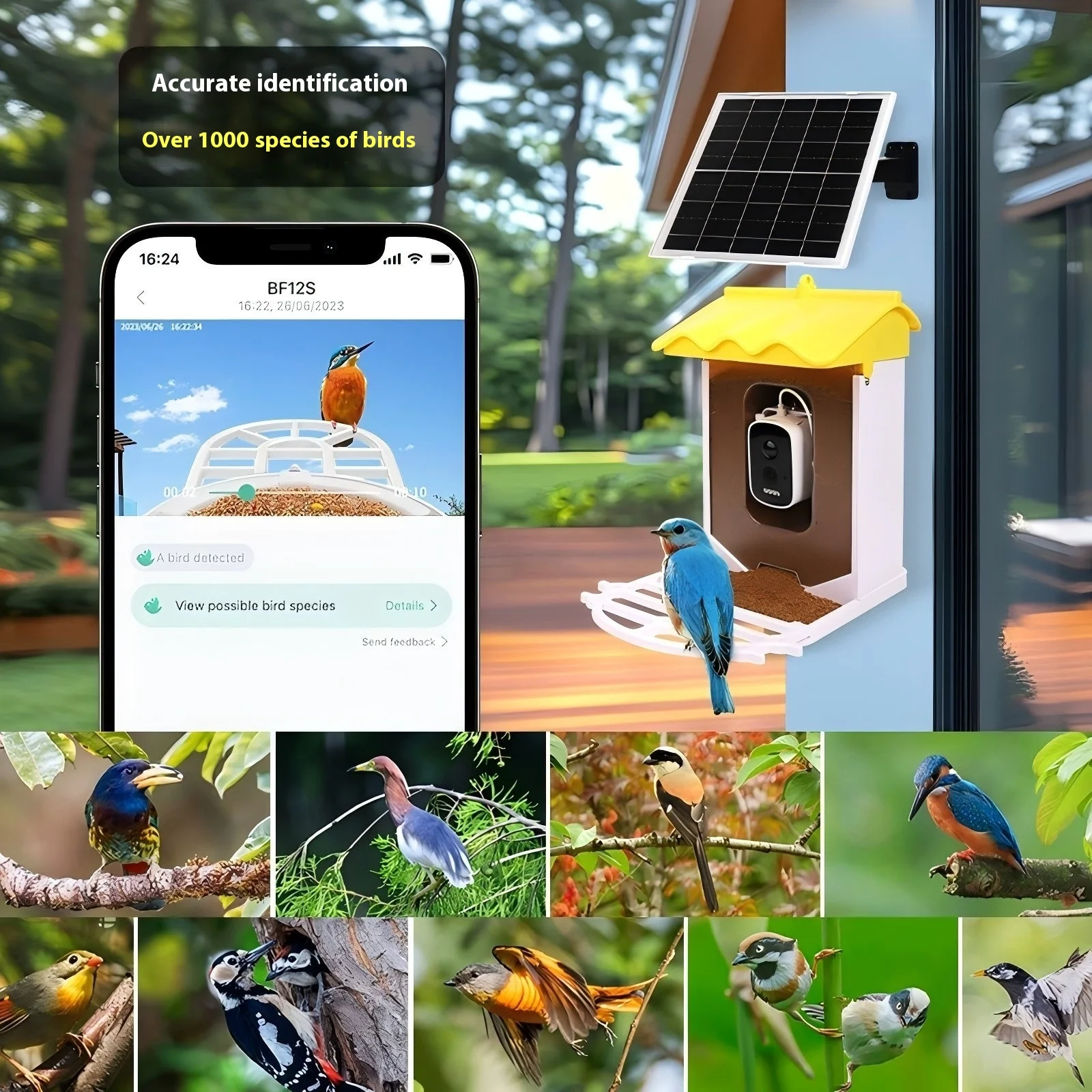 Solar Powered Smart Outdoor Bird Feeder with Camera Waterproof Auto ...