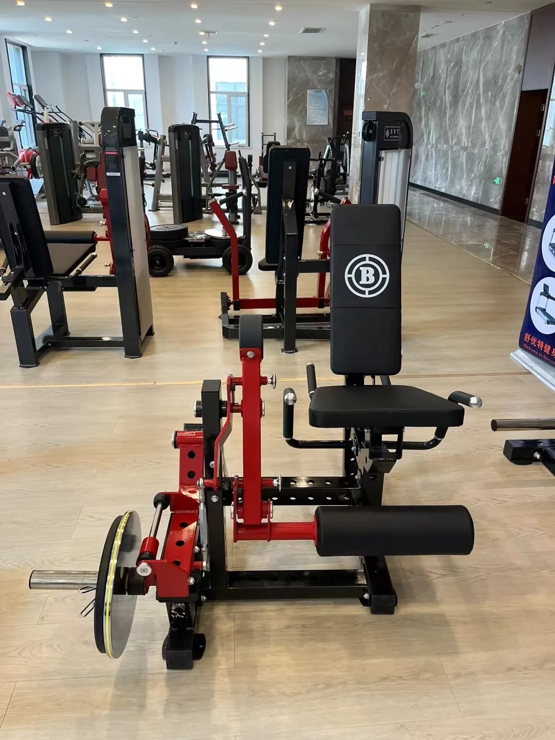 Commercial Use Seated Leg Extension and Flexion Machine| Alibaba.com