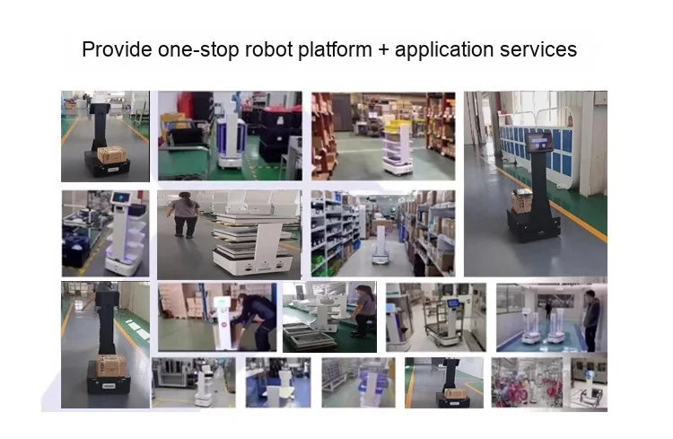 Industrial Intelligent Distribution Robot for Automatic Factory Goods ...