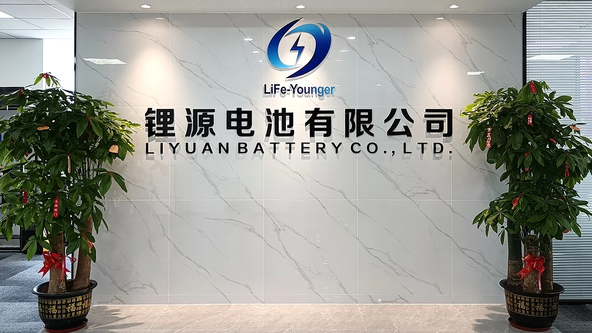 BESS Energy Industrial 20ft Container 1MWh Power Lithium Ion Battery ...