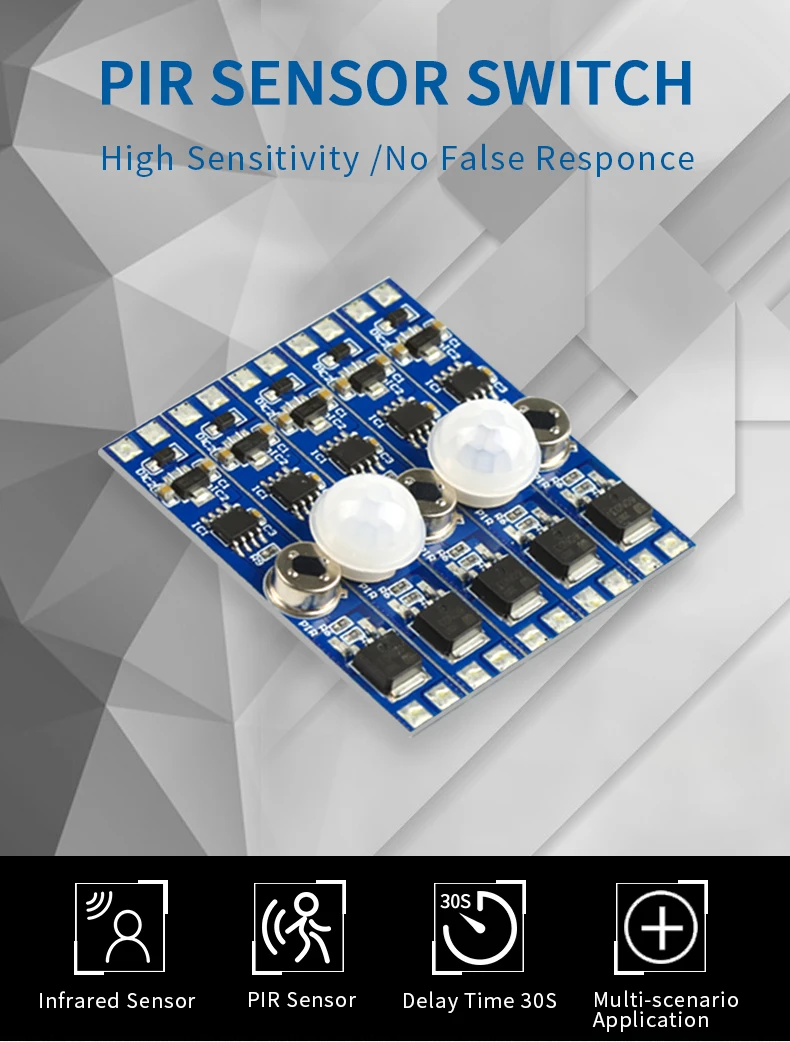 Raymotion 12V Infrared PIR Sensor - Intelligent Lamp Control