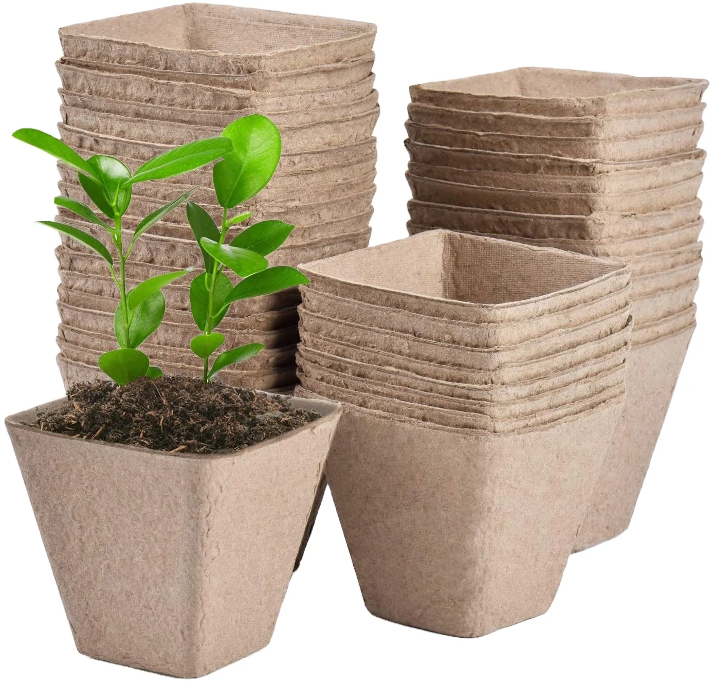 Plant Nursery Seeding Tray Paper Pulp Seedling Cup Biodegradable Flower ...