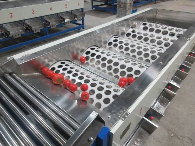 5 Grades Small Round Fruit Tomato Size Sorter Sorting Machine Price ...
