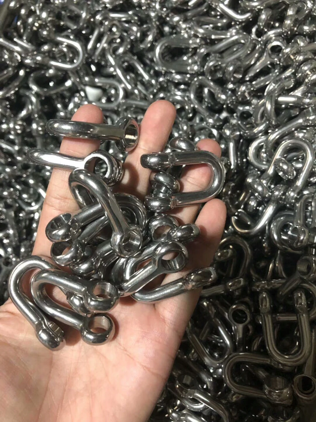 304 Stainless Steel D Type Shackles - Buy D Type Shackles,Stainless ...