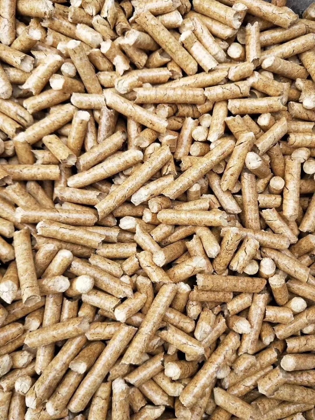 Biomass Fuel Particles Burner Wooden Wood Pellets Europe For Heating ...