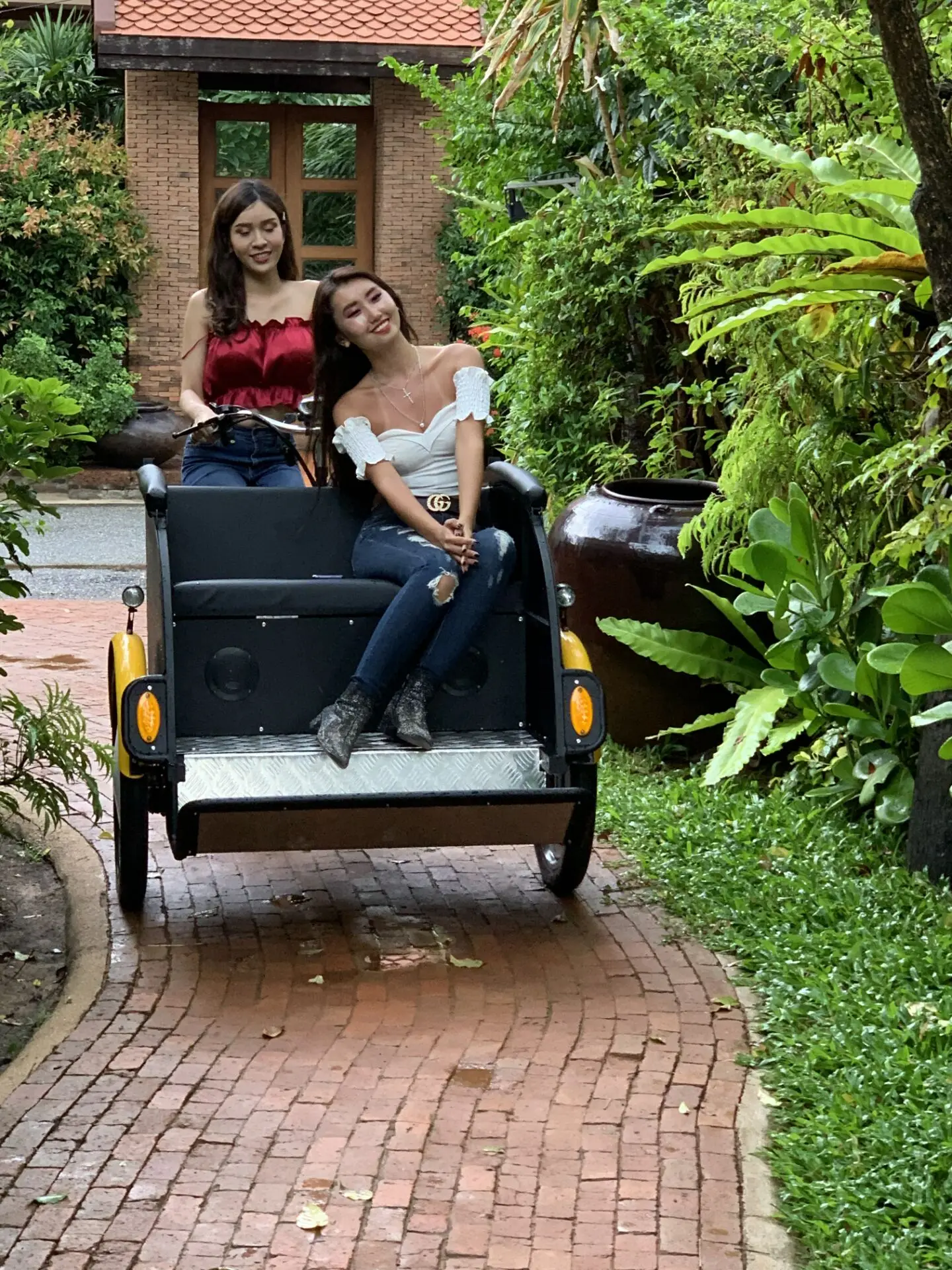 Reverse Rickshaw - Electric Pedicab for Disabled Elderly