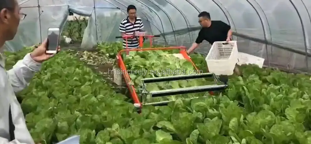 Efficient Leafy Vegetable Harvester - High Safety & Performance