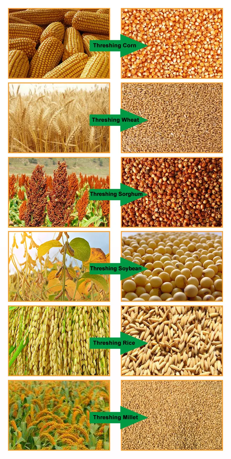 Maize Dehusking Machine - Efficient & Versatile Solutions