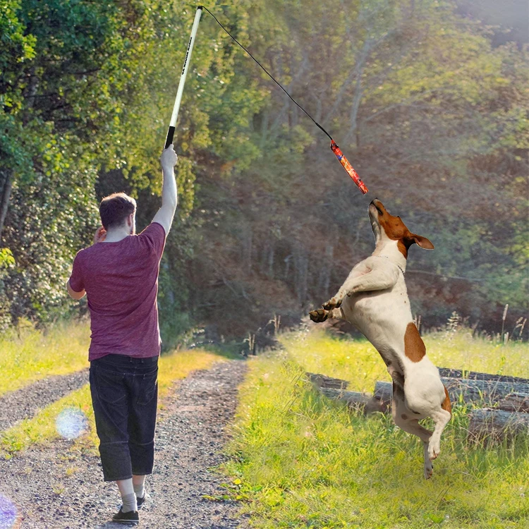 Flirt Pole For Dogs Heavy Duty With 30 Inch Rope And Two Toys For All ...