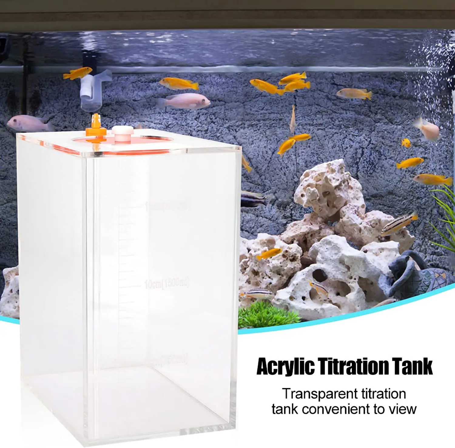 Clear Acrylic Titration Barrel Tank Acrylic Reservoir Barrel Titration ...