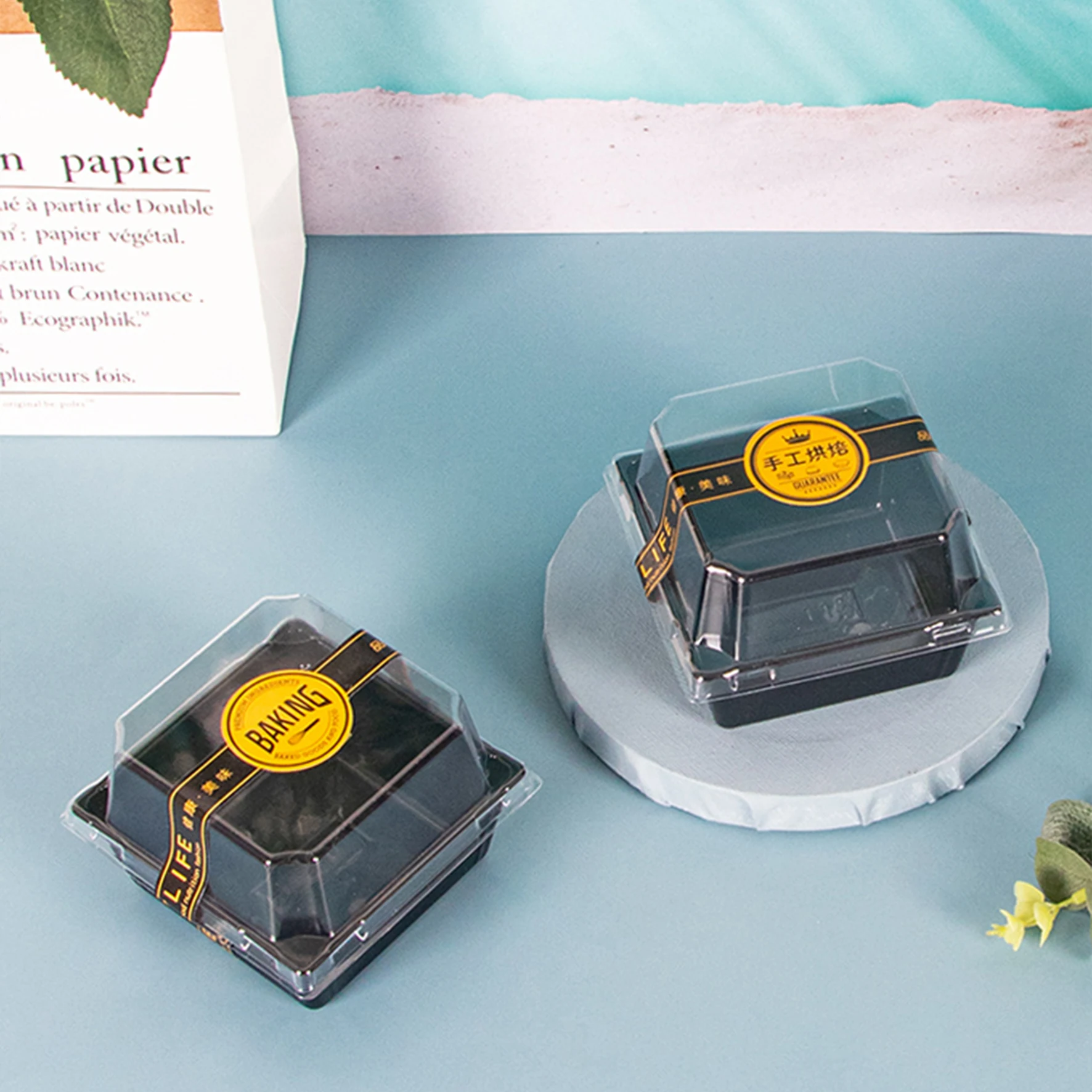 Ecofriendly Plastic Package - Melaleuca Mousse Cake Box