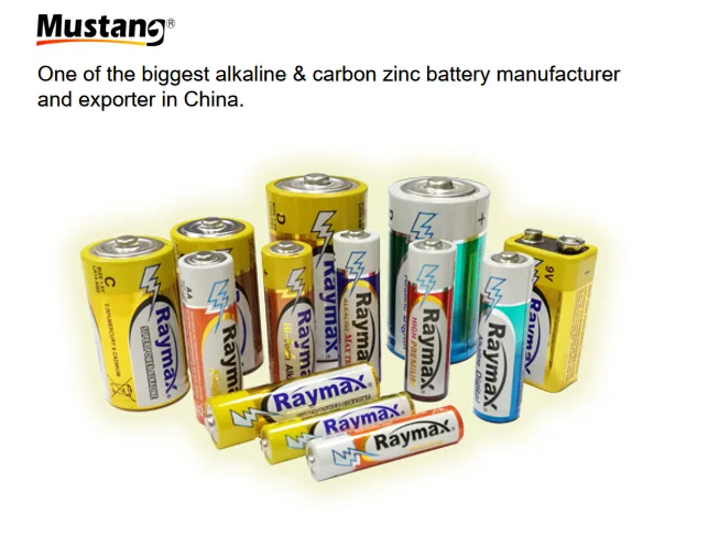 Raymax All Season Hot Selling Pvc Box 24pcs Batteries Alkaline Aa ...