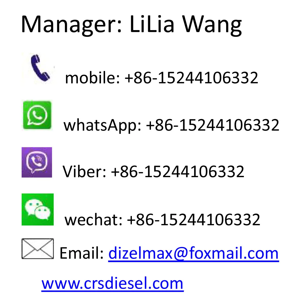 Isx15 Qsx15 X15 Diesel Engine Injector Nozzles for Cummins