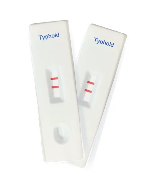 Typhoid IgG/IgM Rapid Test Salmonella Typhoid Antibody test Kit, Blood ...
