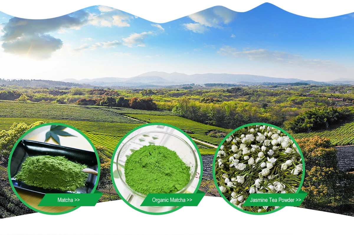 Jiangsu Xinpin Tea Co., Ltd. - Matcha, Decaffeinated Green Tea