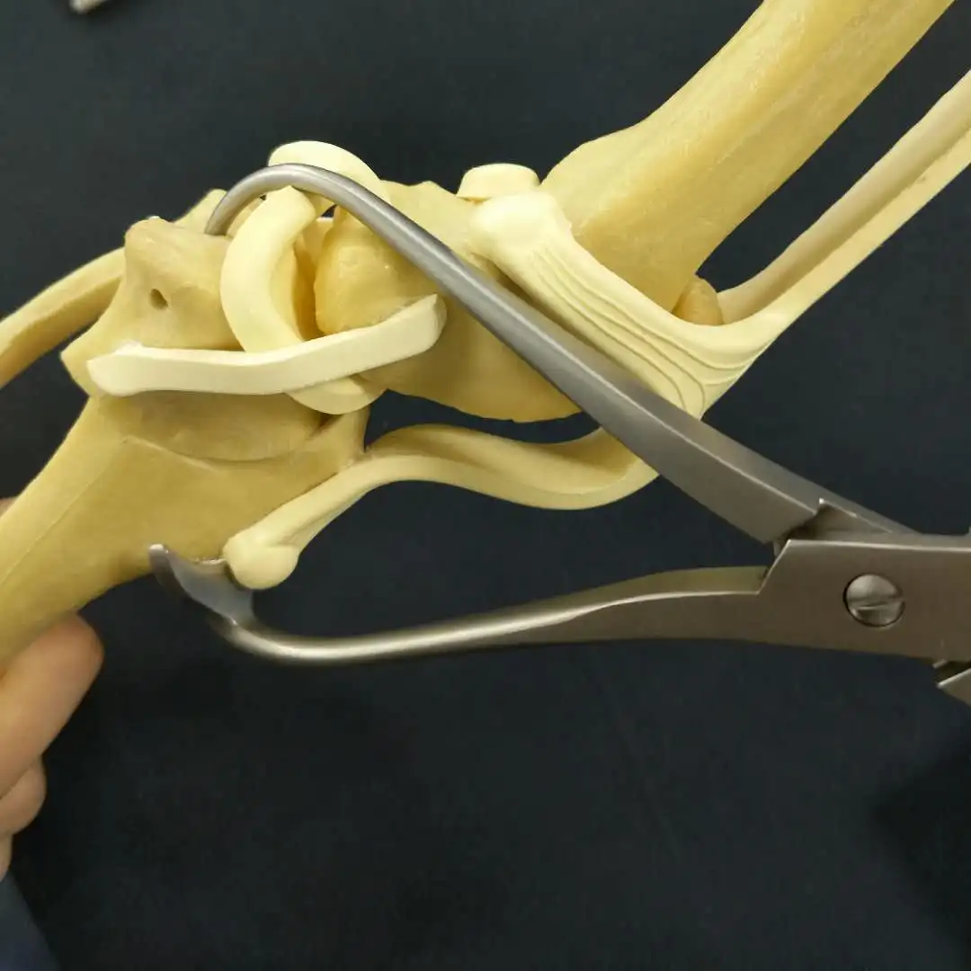 Veterinary Use Tibial Plateau Leveling Osteotomy Tplo Reduction Forceps ...