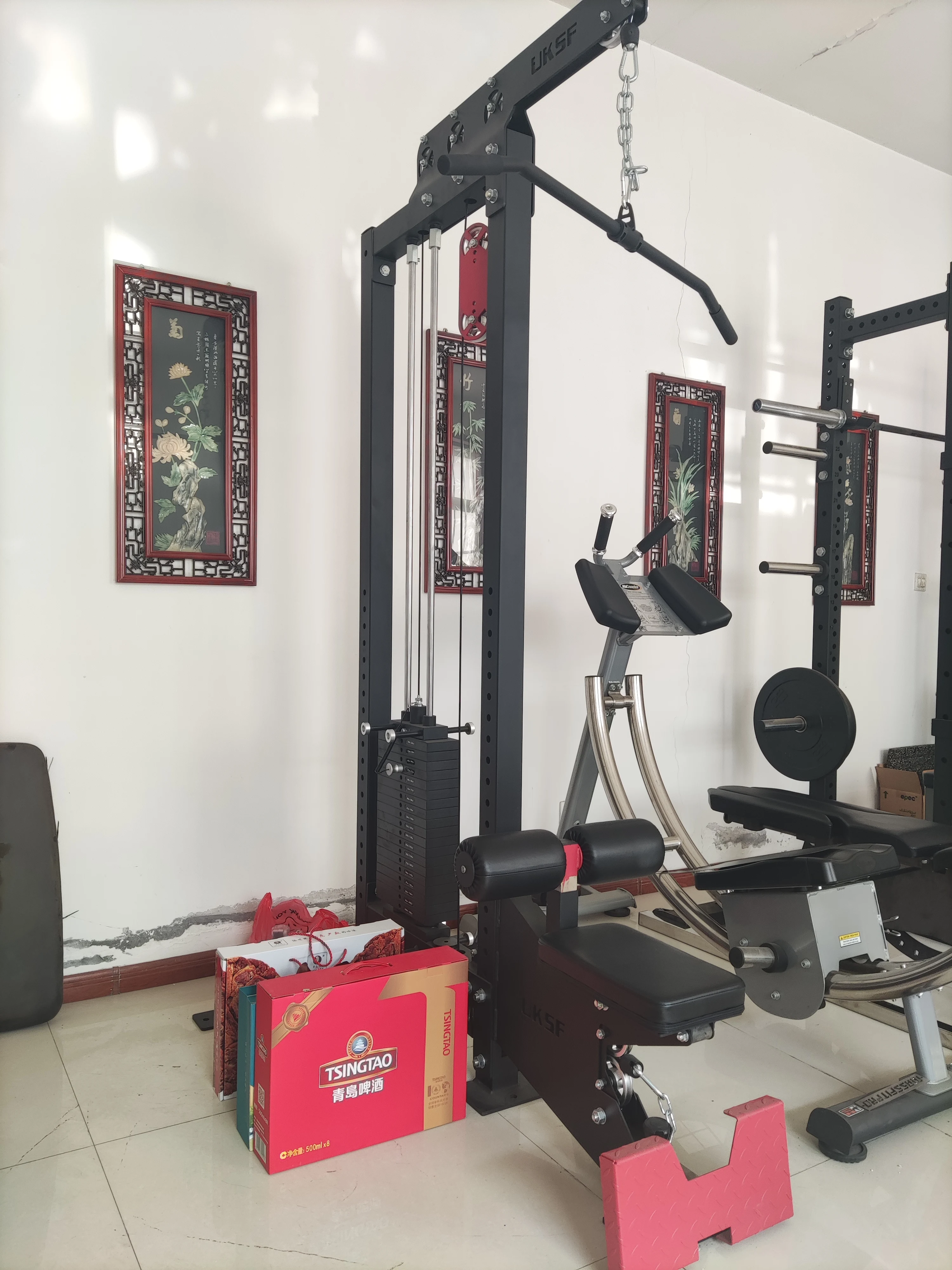 Monster Lat Pull Down/Low Row (Stand Alone) LAT Pull Down Machine Low ...