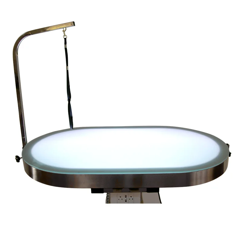 LED Electric Dog Grooming Table - Height Adjustable & Sustainable