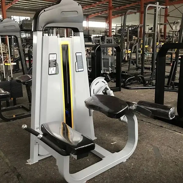 Commercial Gym Equipment Seated Leg Extension & Horizontal Curl Leg Combined Machine For Sale ...