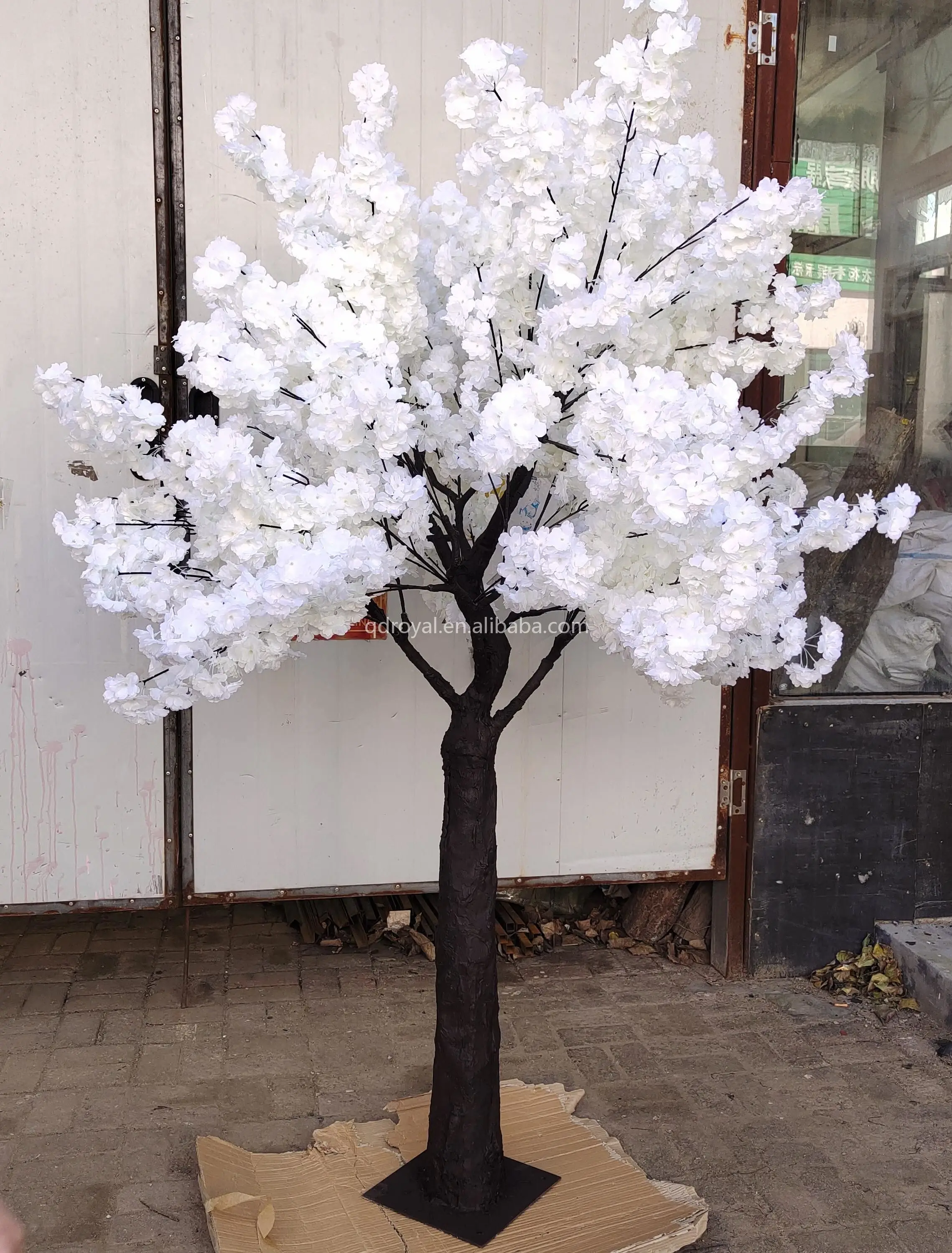 Tanaman Cedar and Kenzo Imitation - Customized Sakura Tree