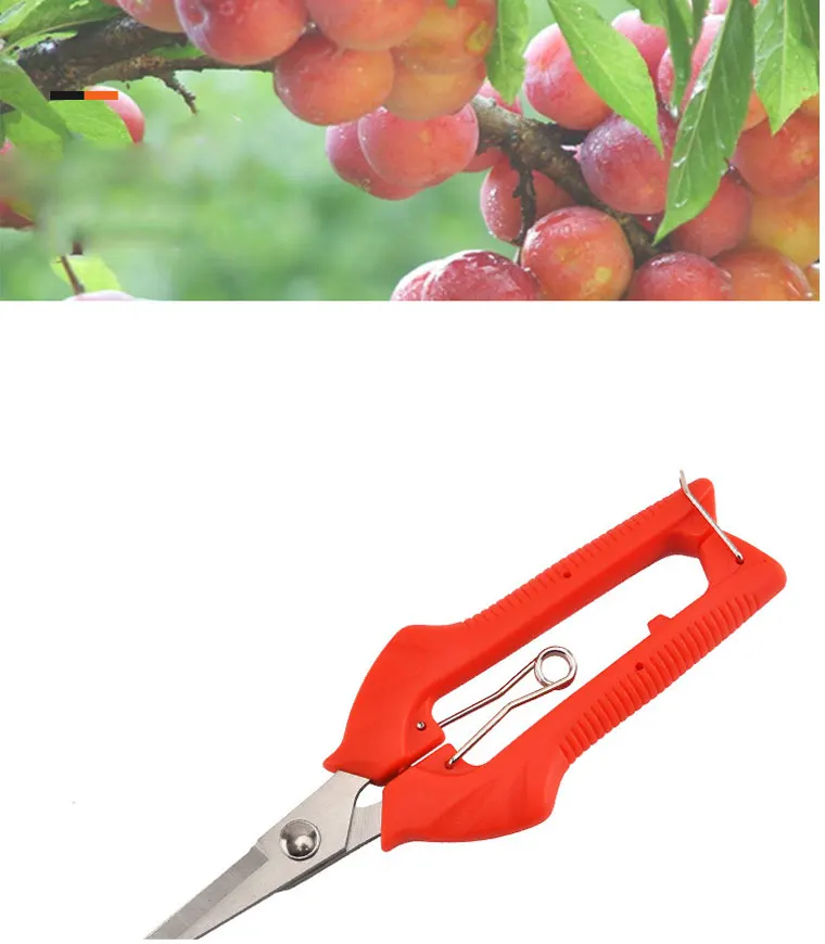 Bypass Garden Scissor Pruning Shear For Fruit Pick Up With Soft Plastic ...