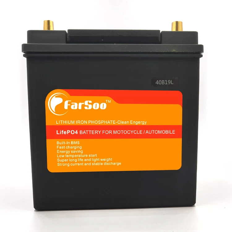 Farsoo Lifepo4 Battery 12v 20ah 40b19l Lifepo4 Battery Pack With Bms ...