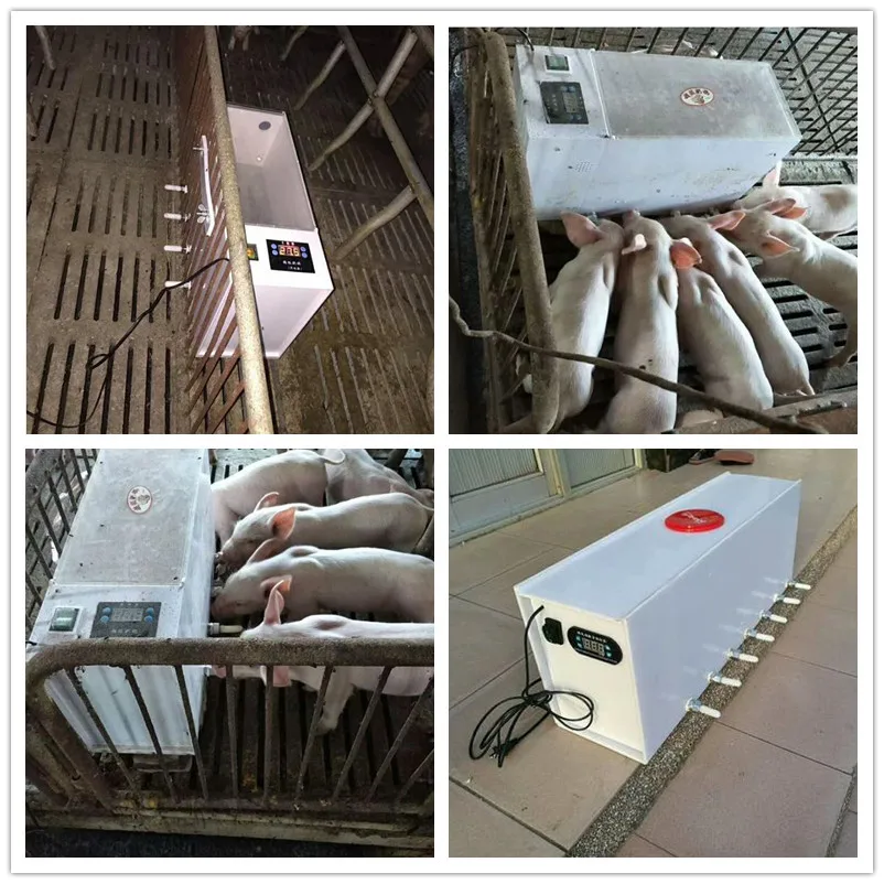 Piglet Milking Machine - Efficient Feeding Solutions