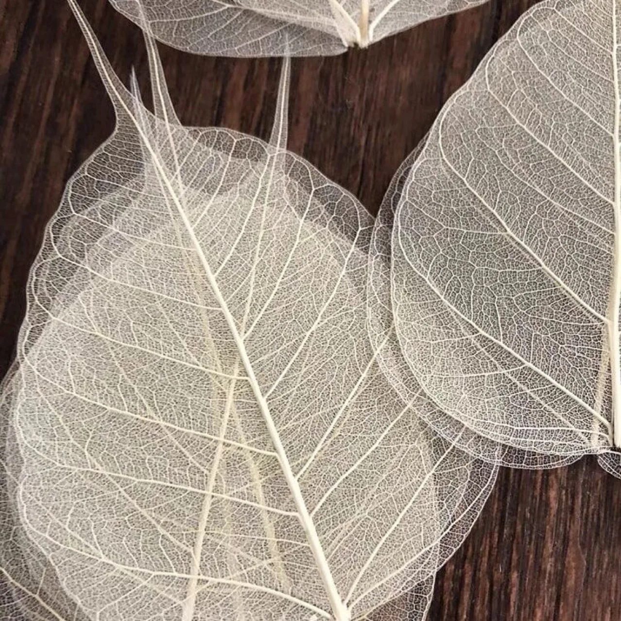 Bodhi Leaf Veins DIY Bookmarks Natural Plant Materials Handmade ...