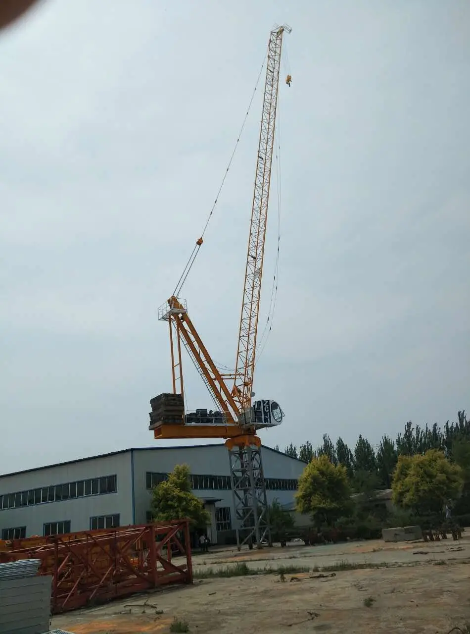 Crane with Derricking Jibs Luffing Jib Tower Crane Tower Crane