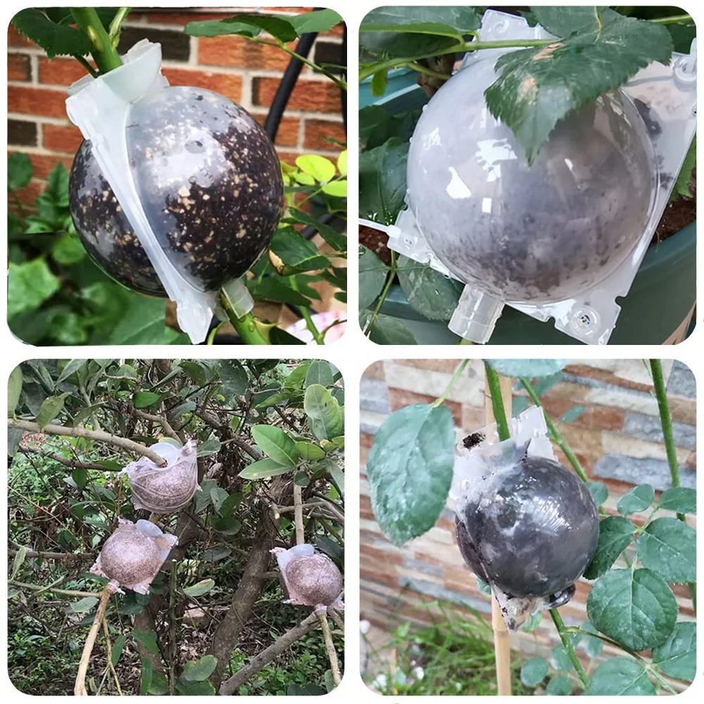 Air Layering Reusable Plant Rooting Box Plant Rooting Ball Grafting ...