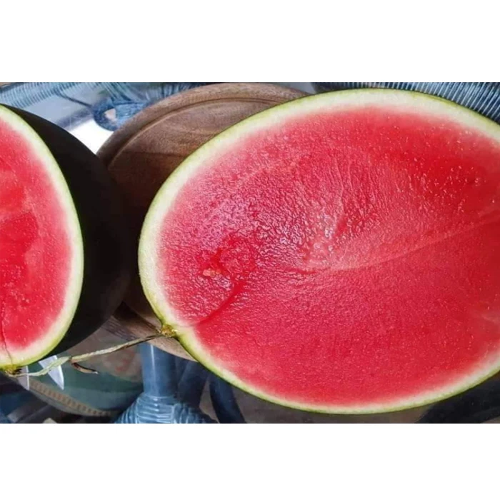 Best Selling and the Freshest Seedless Watermelon Organic Pure Natural ...