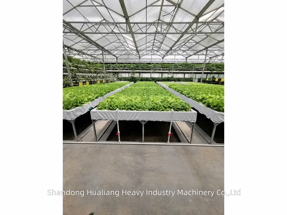 Dft Hydroponics Growing System For Leaf Vegetable/lettuce/salad/herb ...