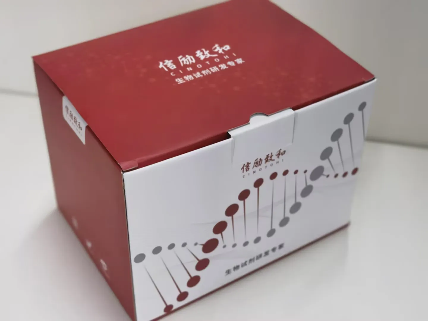 Bsa Standard Solution Protein Assay Quantification Research 5 Mg/ml ...