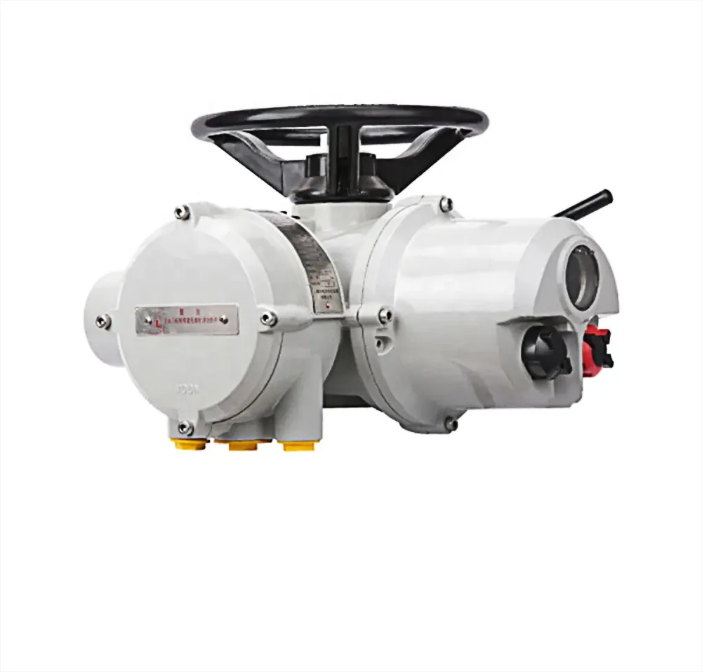 Rotok Iq Series Electric Actuator Iq1 Iq12 Iq18 Iq25 Iq95 Electric ...
