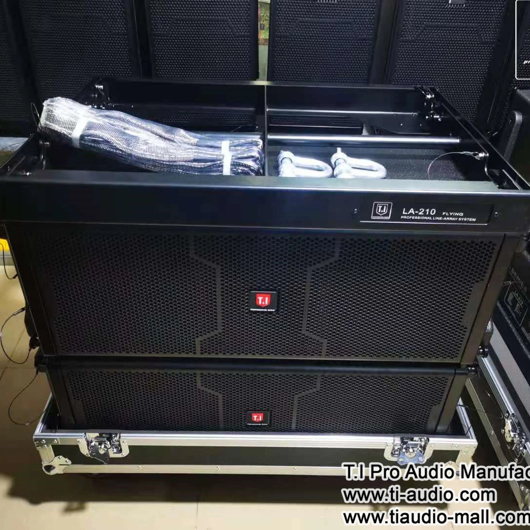 T.I Pro Audio LA-210 Dual 10 Inch Line Array System