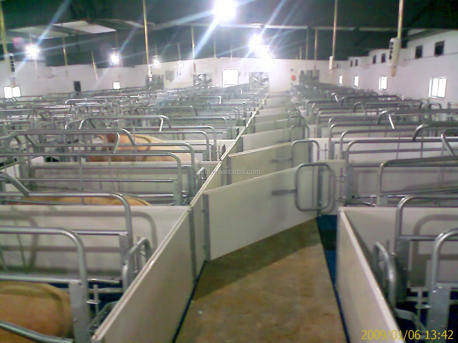 Pvc Fence Sow Farrowing Pens Farrowing Crates For Pigs - Buy Farrowing ...