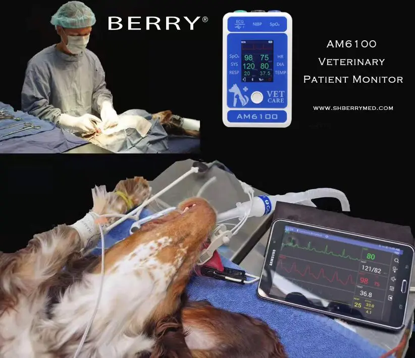 Bluetooth Veterinary Monitor Vet Use Good Price And Quality - Buy ...