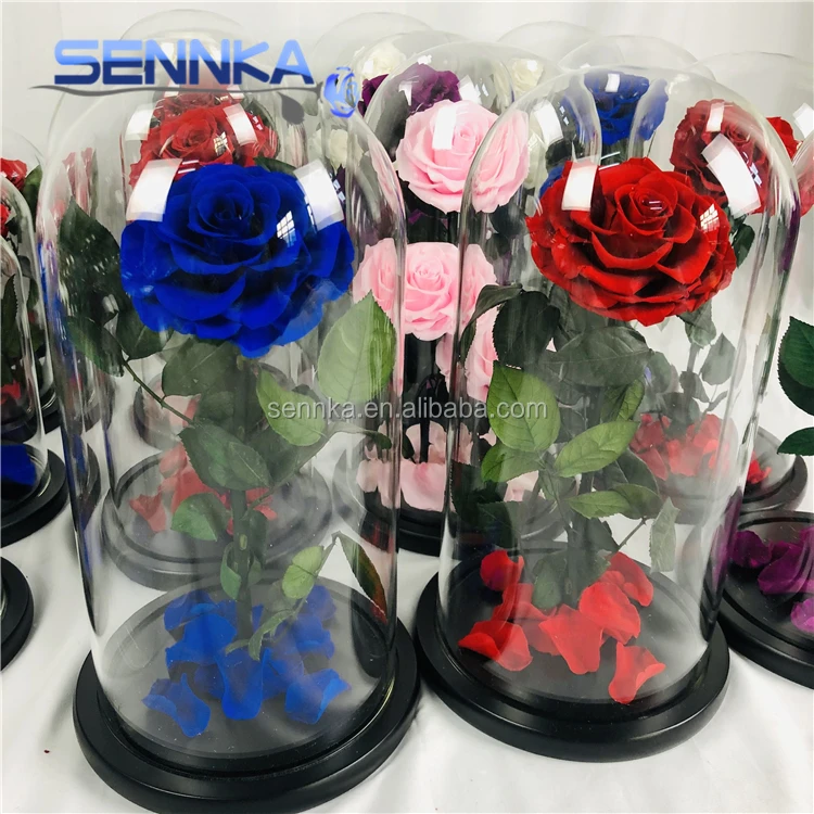 Chinese Red Preserved Rose Stem In Glass 10cm Huge Rose Bud Single Rose ...